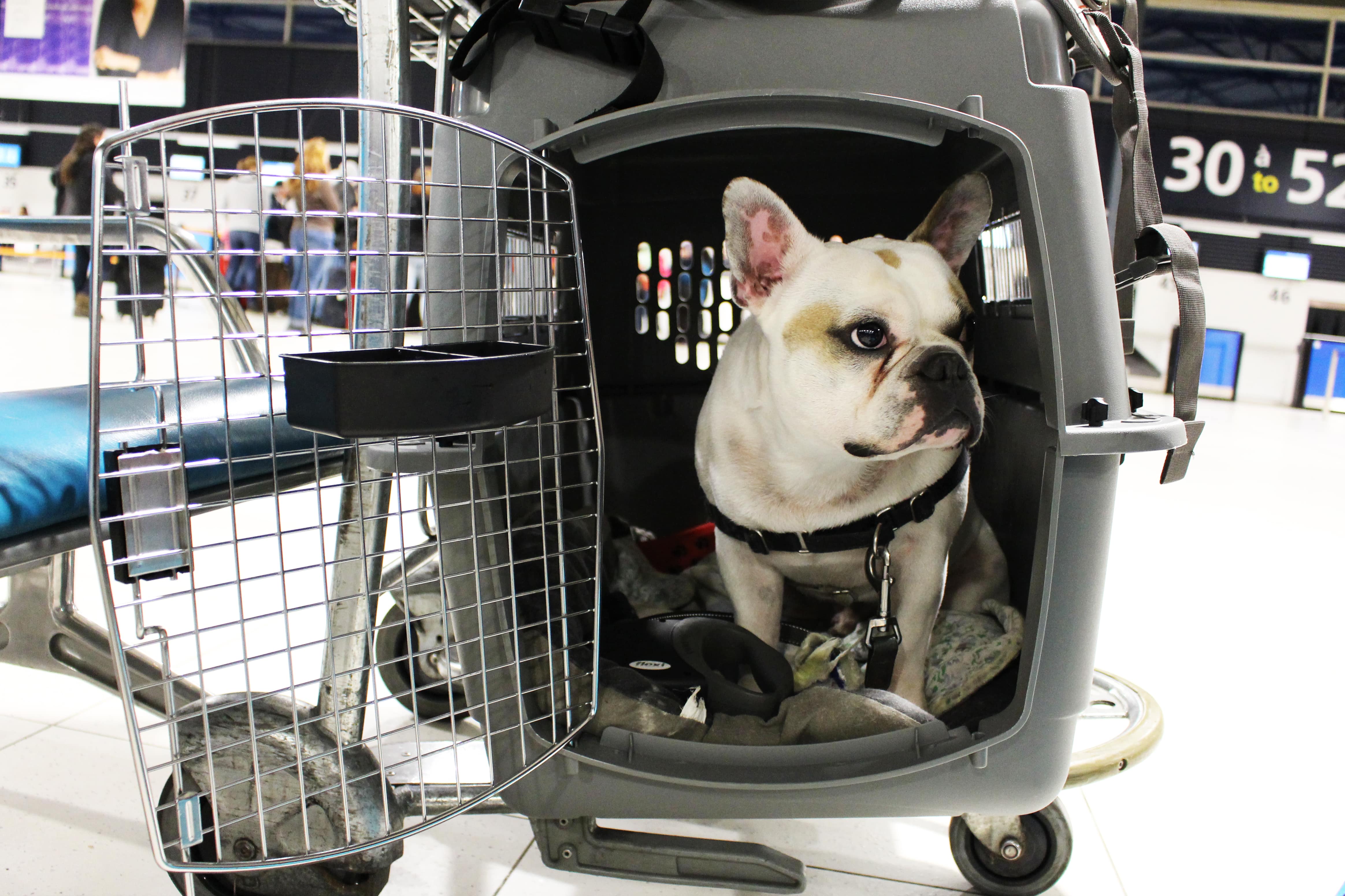 Global Logistics Inc. - Providing Logistics & Shipping Services